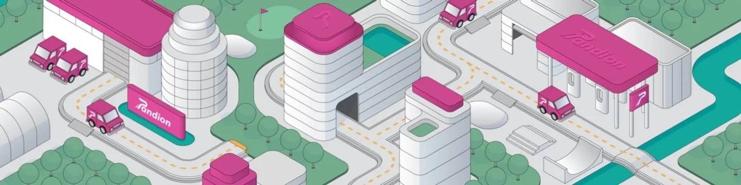 Pretty in pink: How Pandion is building the logistics network of the ...