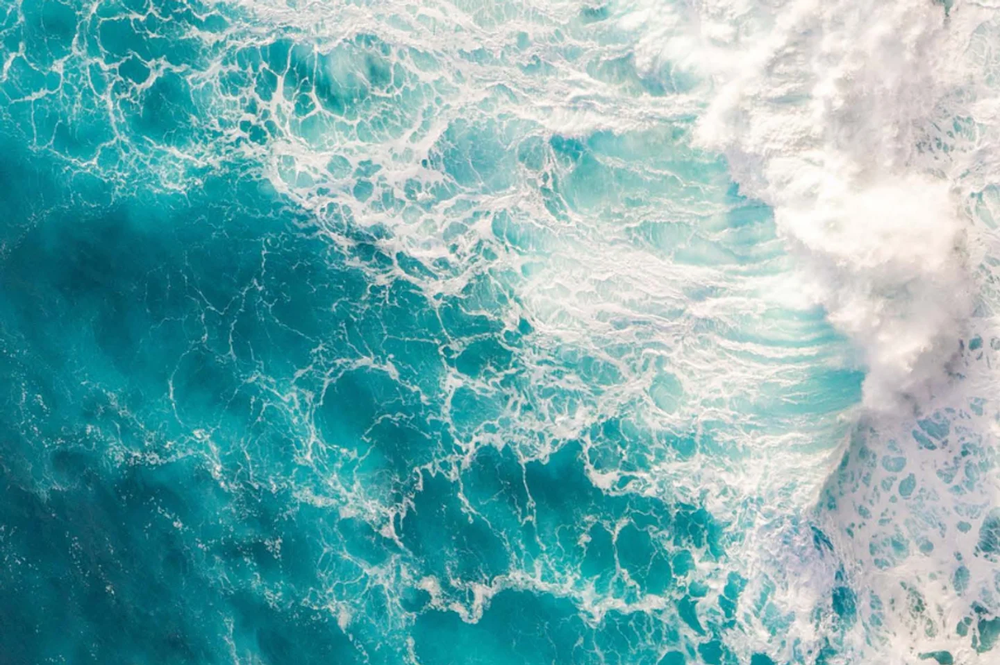 Defensive and offensive strategies in a low growth, high inflation ...