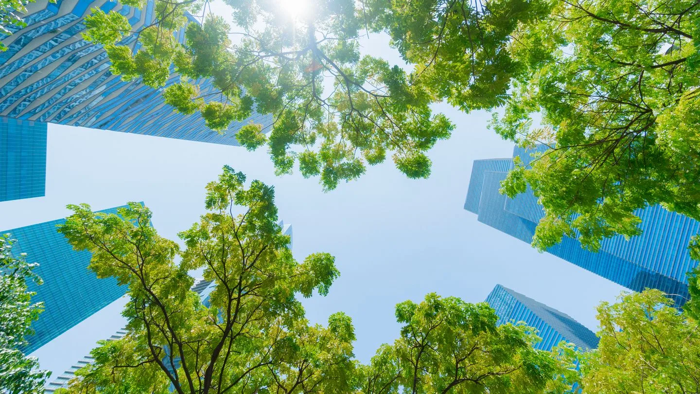 The value creation concentration | AlixPartners