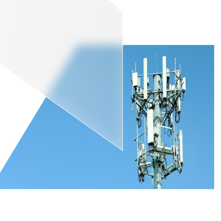 Fiber Networks | AlixPartners