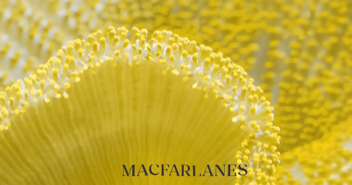 Policy in practice: Autumn Statement 2023 - pensions | macfarlanes