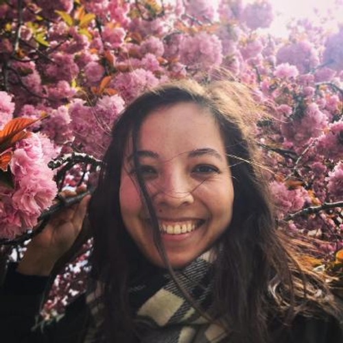 Danielle Man's talks, articles, workshops, certificates