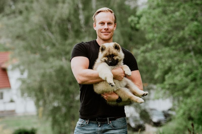 Richard Davison's talks, articles, workshops, certificates